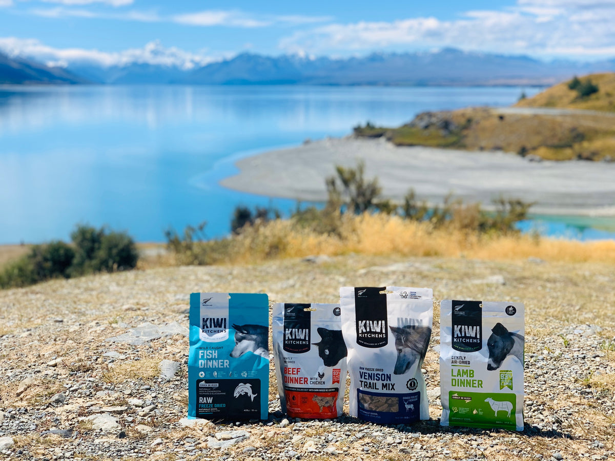 Kiwi Kitchens – Petisan