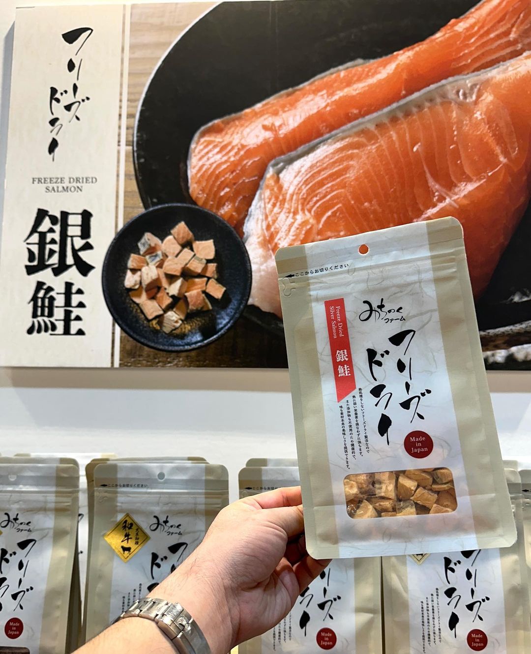 Freeze Dried Coho Salmon 40g – Petisan