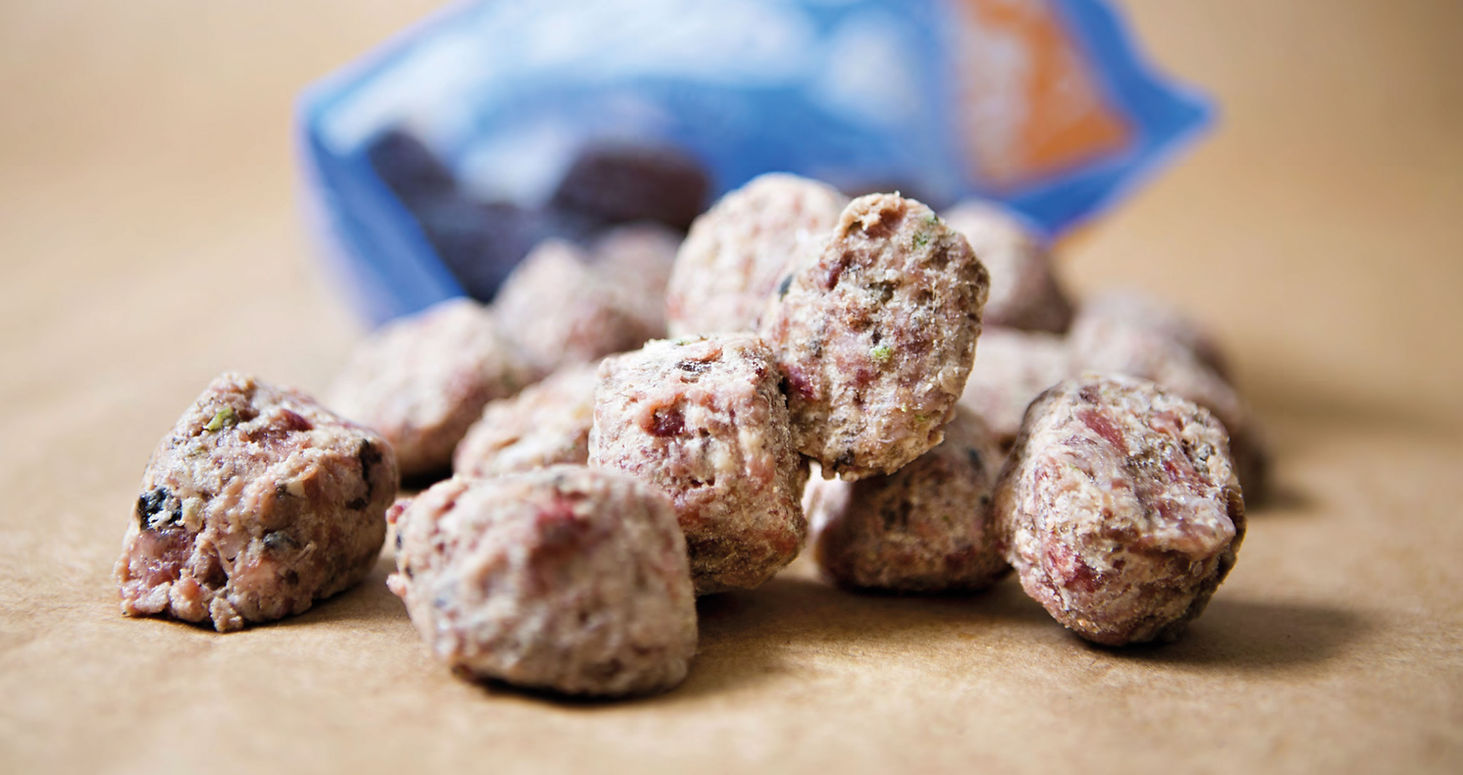 Petisan HK - Design & Lifestyle for Modern Pet Lovers