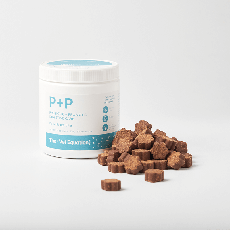 P+P Prebiotic + Probiotic Digestive Care – Petisan