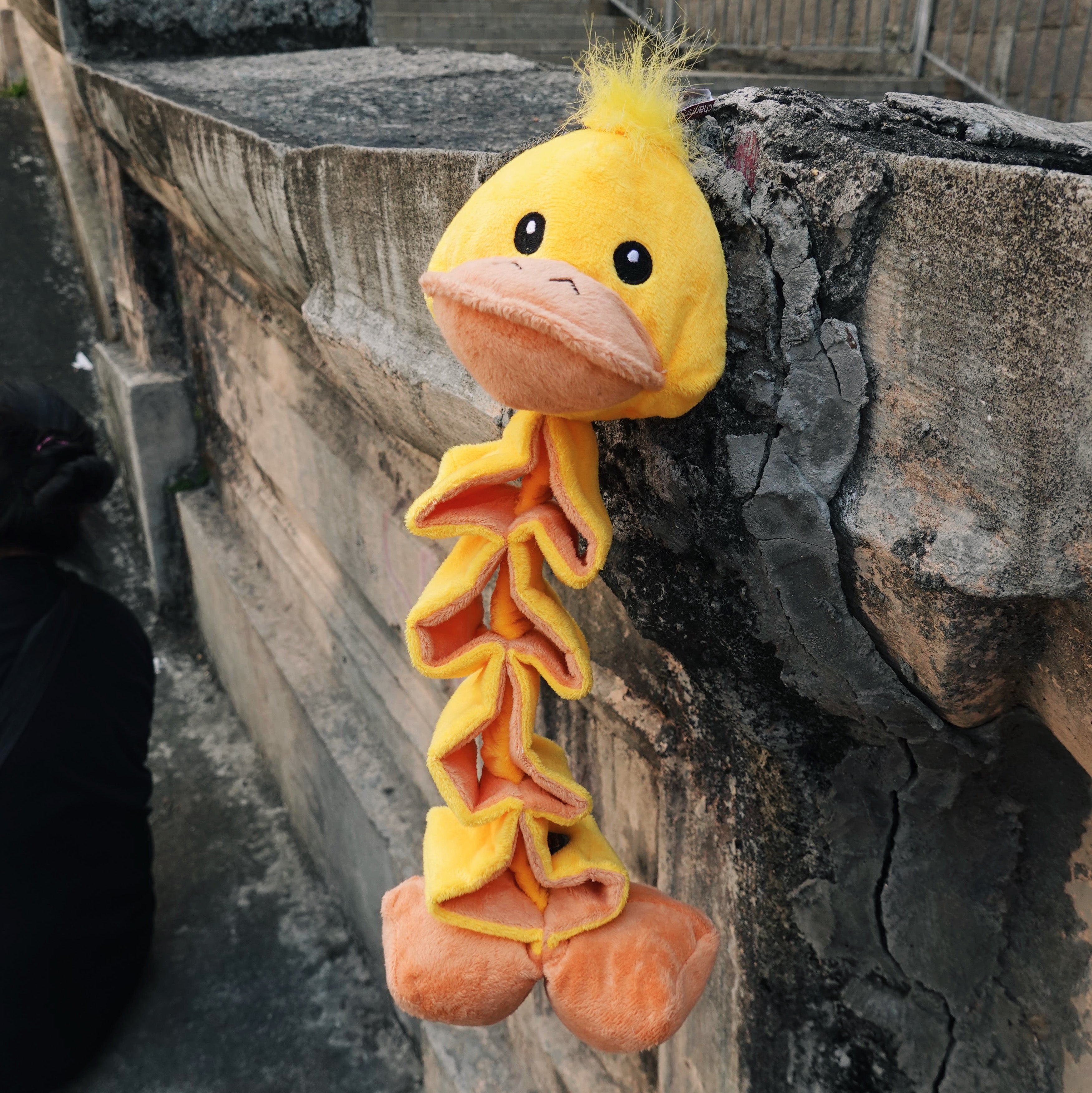 Zigzag Duck – Petisan