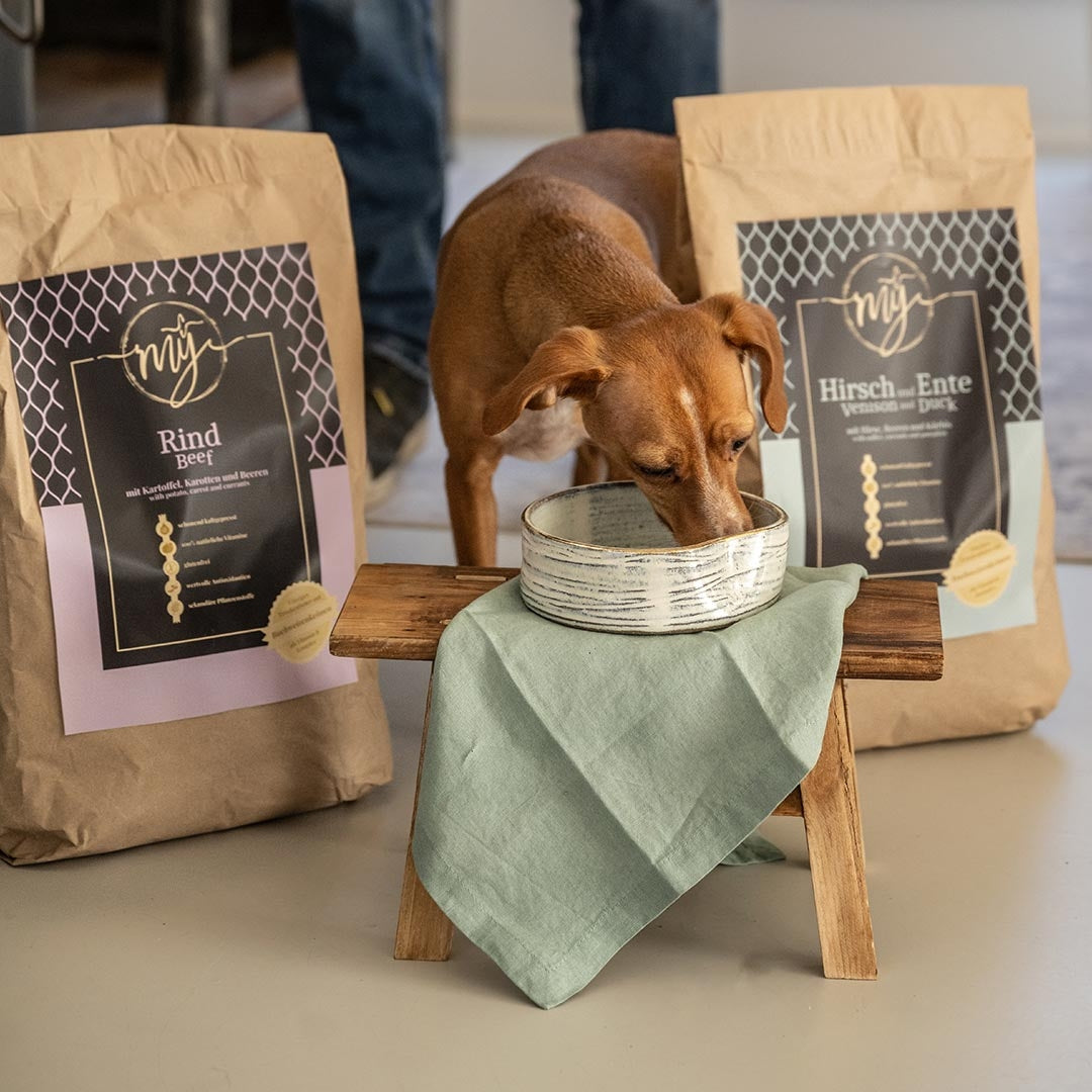 Petisan HK - Design & Lifestyle for Modern Pet Lovers