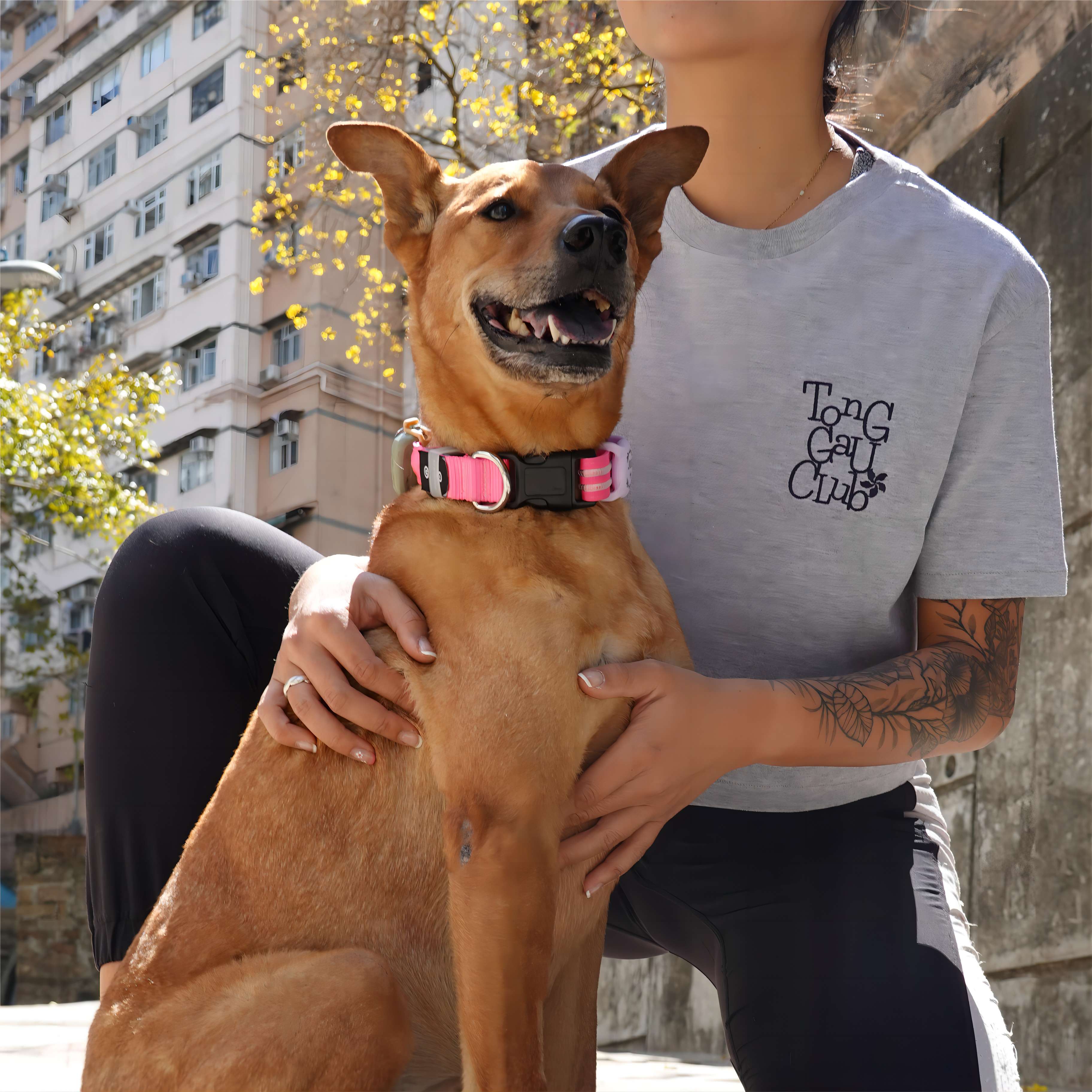 “Tong Gau Club” Embroidered Crop Tee – Petisan