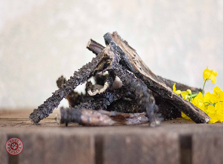 Air-dried Beef Tripe – Petisan