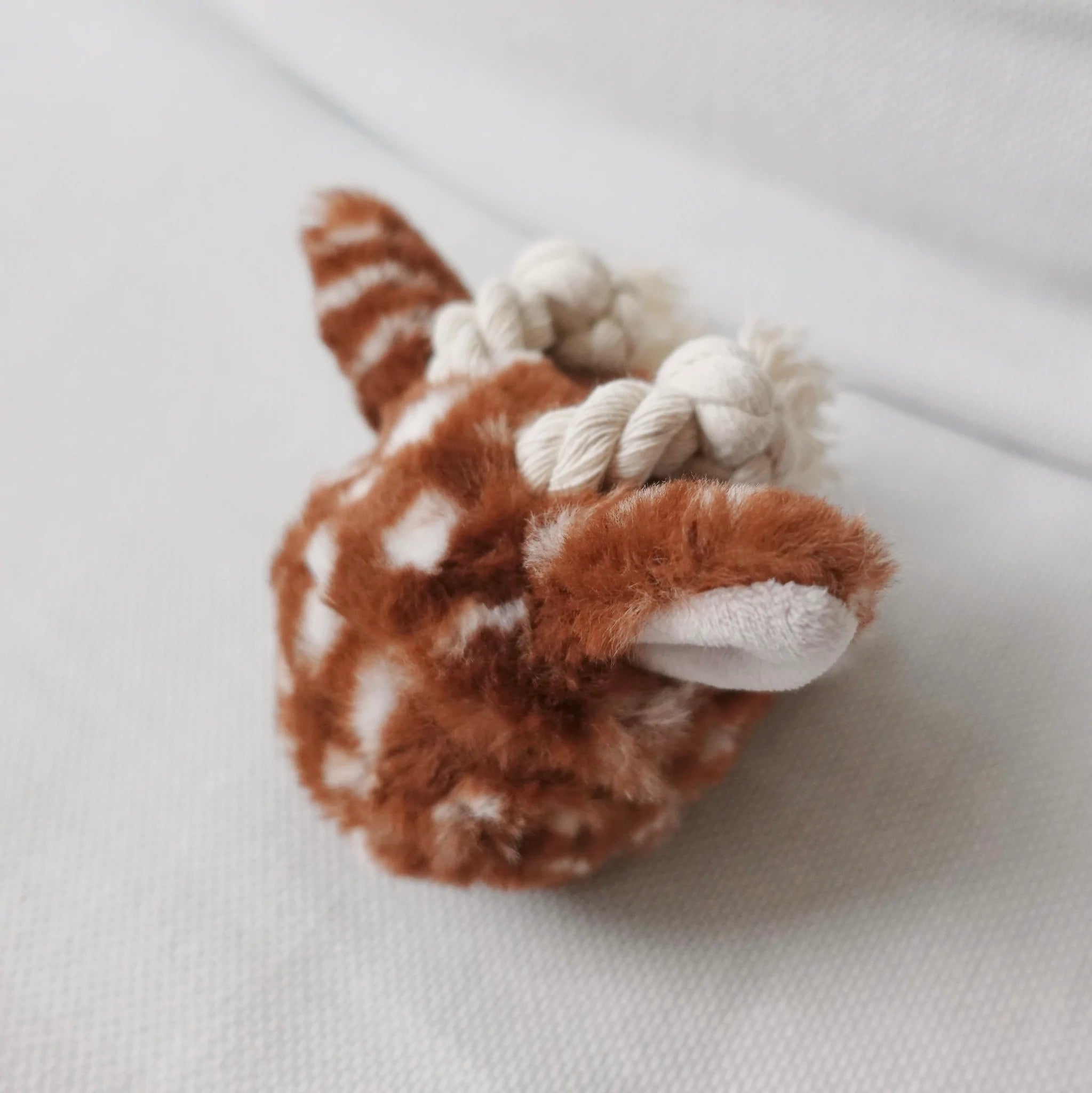 FAWN POP squeaky + bouncy enrichment toy – Petisan
