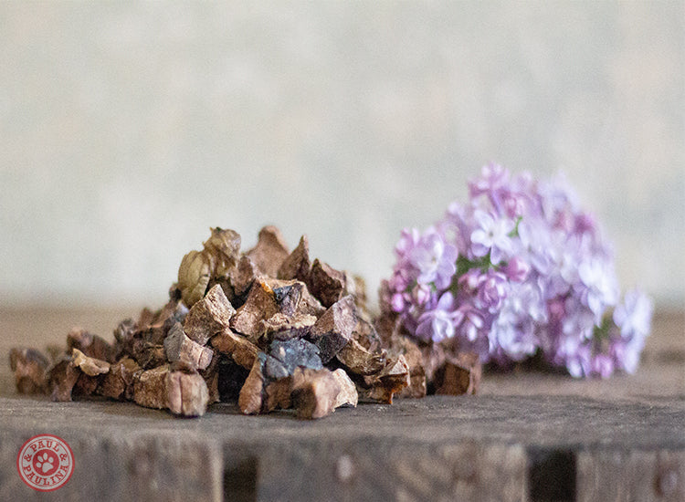 Fit&Fun Training Snacks – Petisan