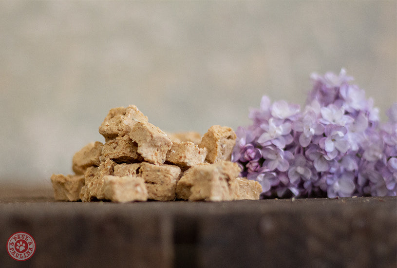 Pollock Fish Nuggets – Petisan