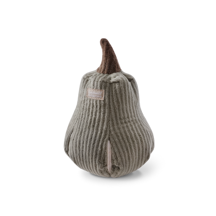 BUTTERNUT Snuffle Gourd Toy – Petisan